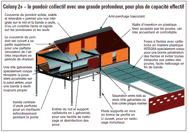 Pondoir automatique caillebotis - BFC Constructions