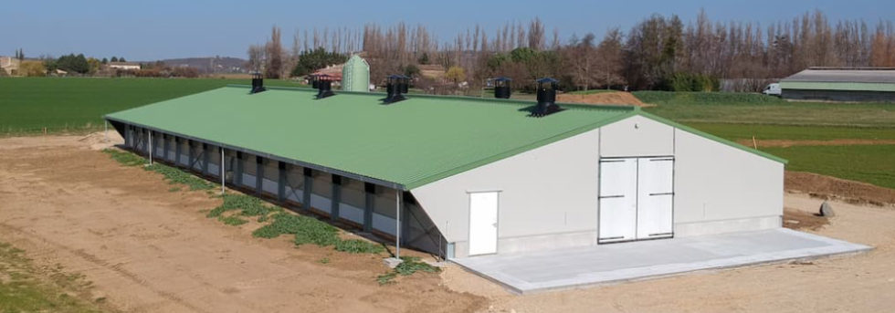 Bâtiment d'élevage avicole pour Poulettes - BFC Constructions